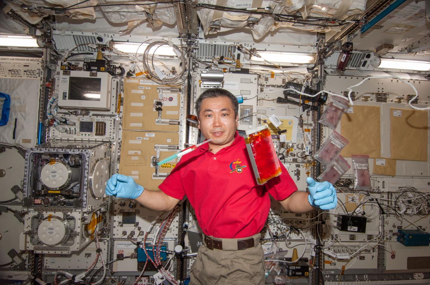 Koichi Wakata, JAXA [IMAGE] | EurekAlert! Science News Releases