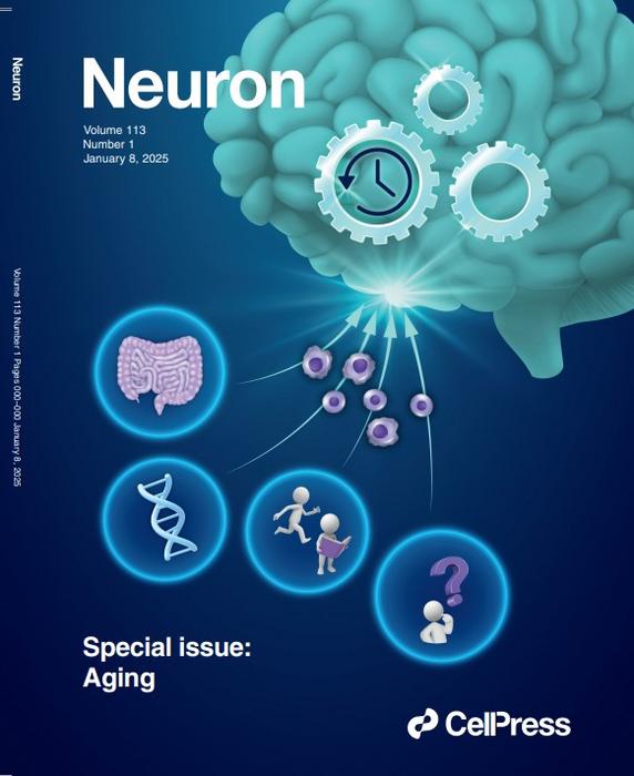 Neuron special issue on aging [IMAGE] | EurekAlert! Science News Releases