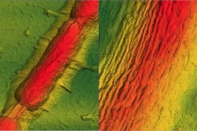 Graphene Ripples [IMAGE] | EurekAlert! Science News Releases