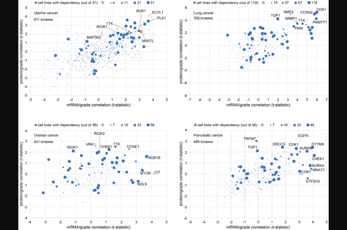 Using cancer proteomics data to identify gene | EurekAlert!