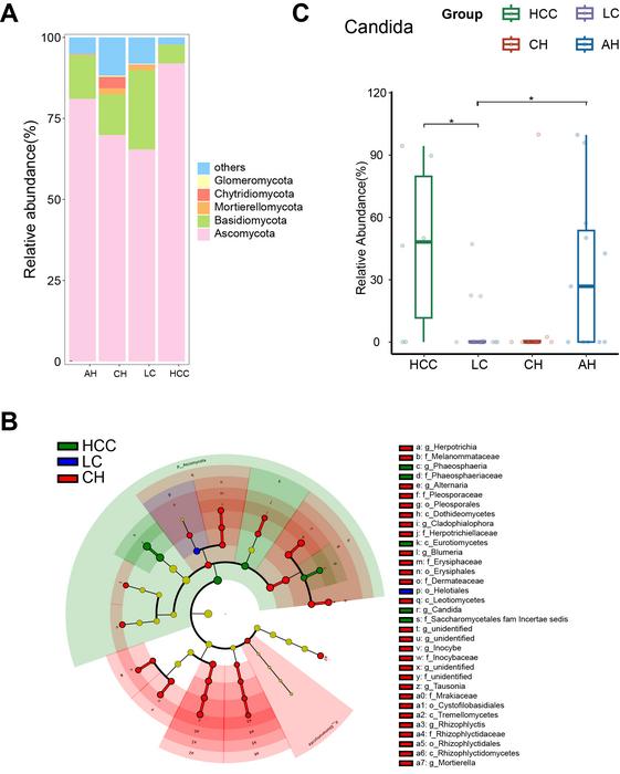 Figure 2: [IMAGE] | EurekAlert! Science News Releases