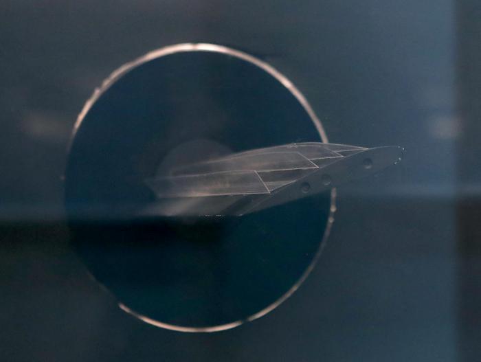 Feather-inspired flaps on mode [IMAGE] | EurekAlert! Science News Releases