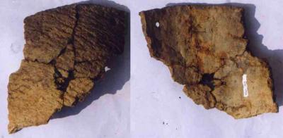 Cave Find Pushes Back Dates of Early Pottery | EurekAlert!