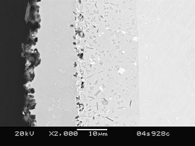 Aluminide Coating [IMAGE] | EurekAlert! Science News Releases