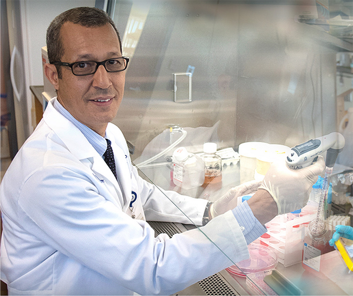 Protein partnership effectively fends off pan | EurekAlert!