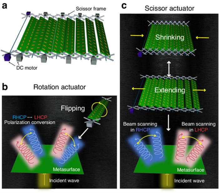 Schematic Of The Reconfigurabl [image] Eurekalert Science News Releases