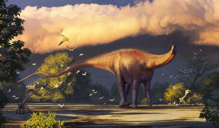 New diplodocus-like dinosaur, [IMAGE] | EurekAlert! Science News Releases