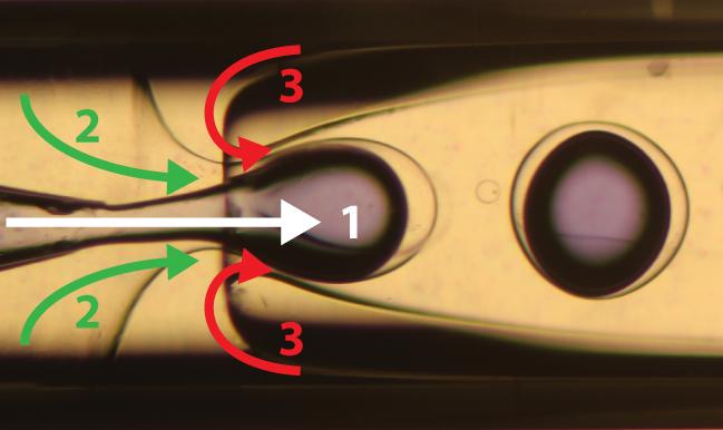 Microfluidics [IMAGE] | EurekAlert! Science News Releases