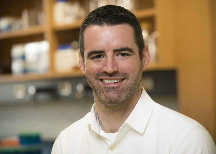 A key brain region for substance use disorder | EurekAlert!