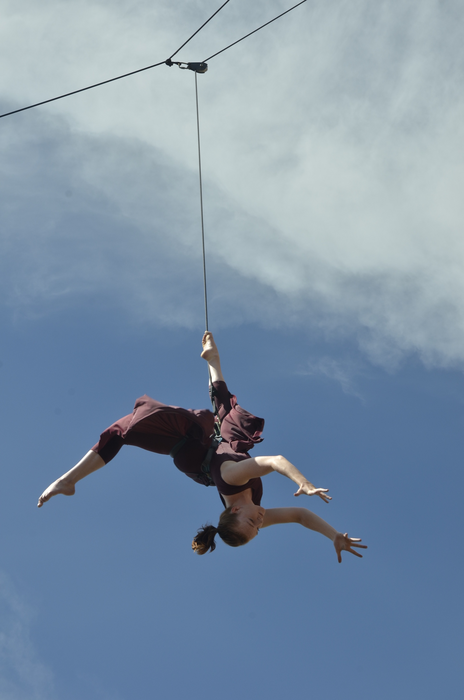 Inverted dancers have more acute visuomotor p | EurekAlert!