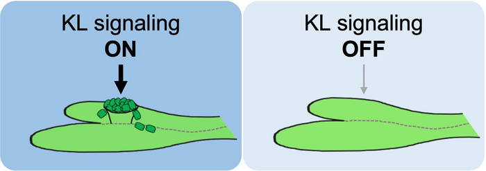 Figure 3 [IMAGE] | EurekAlert! Science News Releases