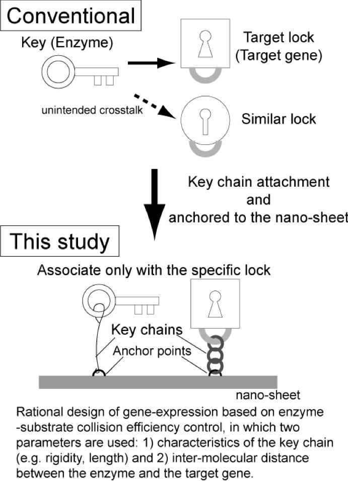 Fig.1 Effect of Integration Ap [IMAGE] | EurekAlert! Science News Releases
