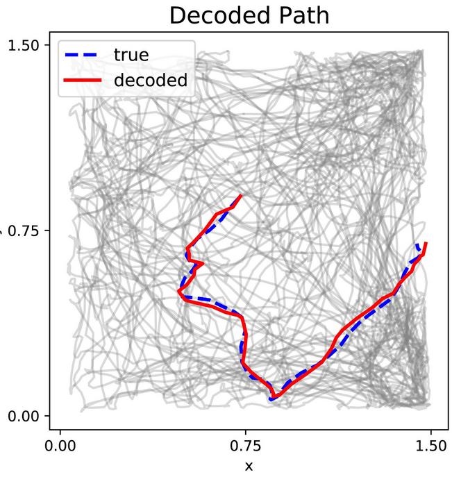 Colorized paths showing a 5 se [IMAGE] | EurekAlert! Science News Releases