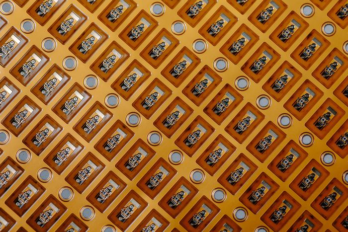 Brain implant chip design [IMAGE] | EurekAlert! Science News Releases