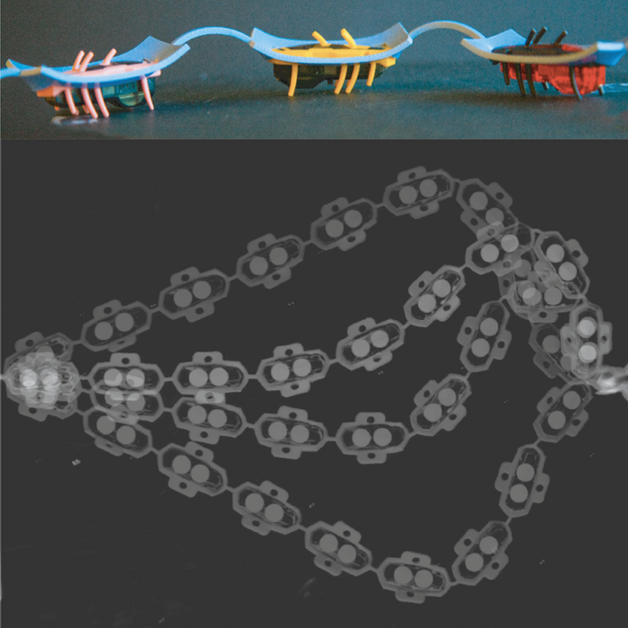 Microbots [IMAGE] | EurekAlert! Science News Releases