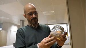 Researchers sequence the first genome of myxi | EurekAlert!