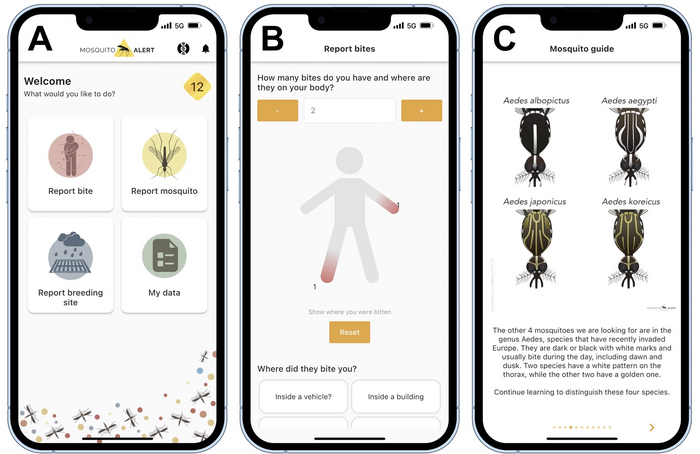 Example of how Mosquito Alert [IMAGE] | EurekAlert! Science News Releases
