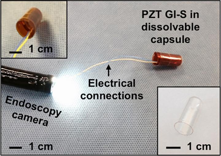 Flexible sensors can detect movement in GI tr | EurekAlert!
