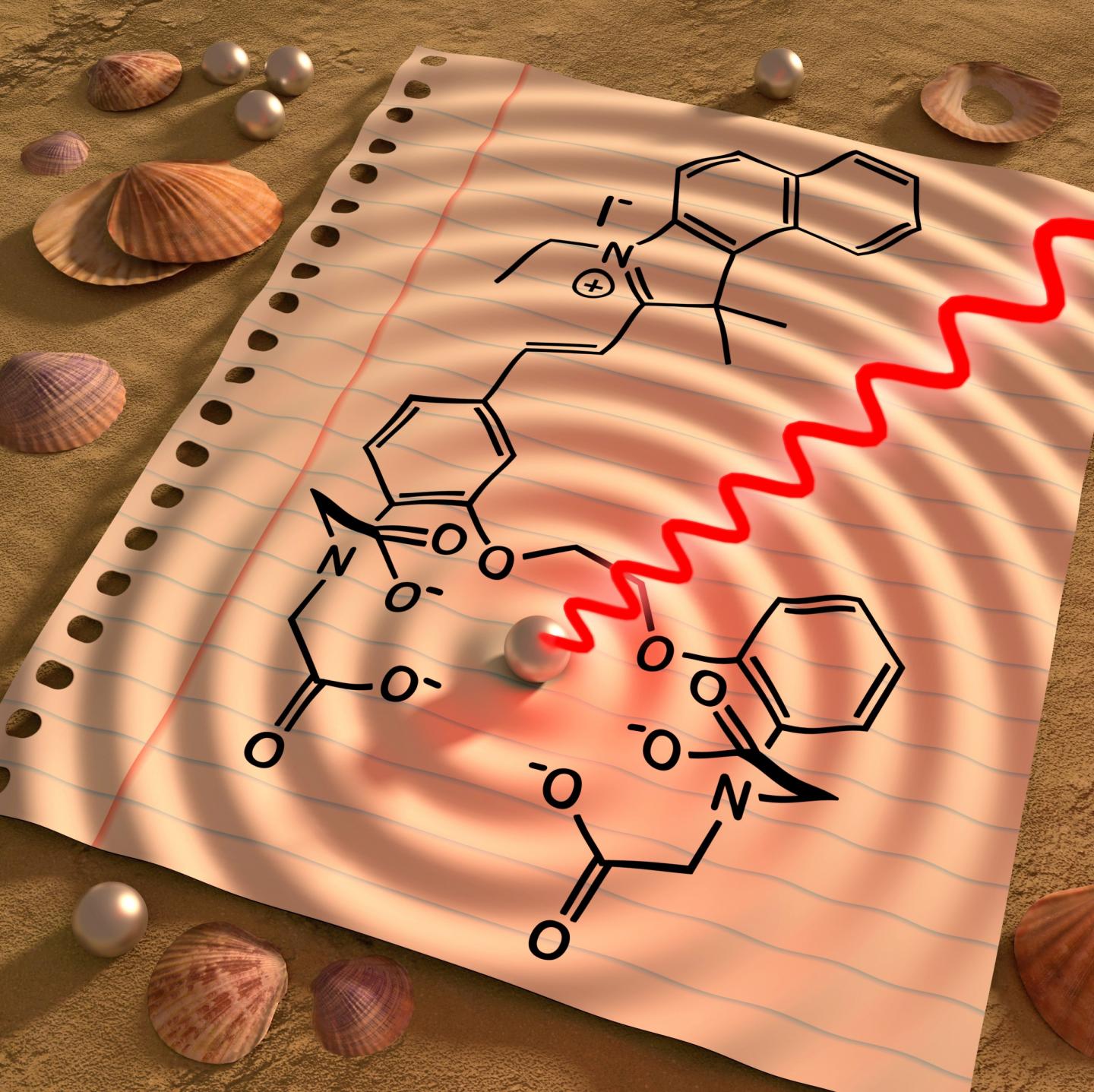 Calcium Waves [IMAGE] | EurekAlert! Science News Releases