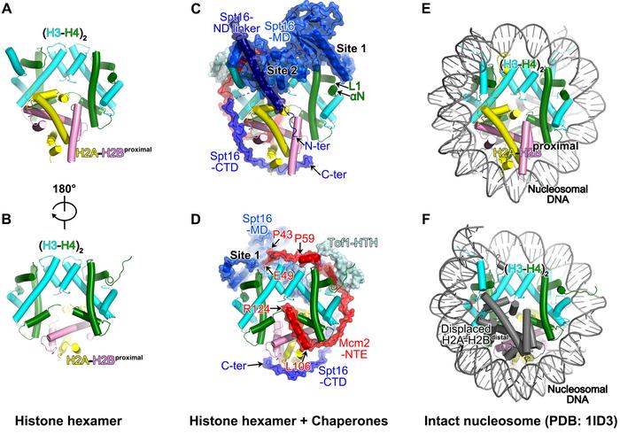 Figure 3 [IMAGE] | EurekAlert! Science News Releases