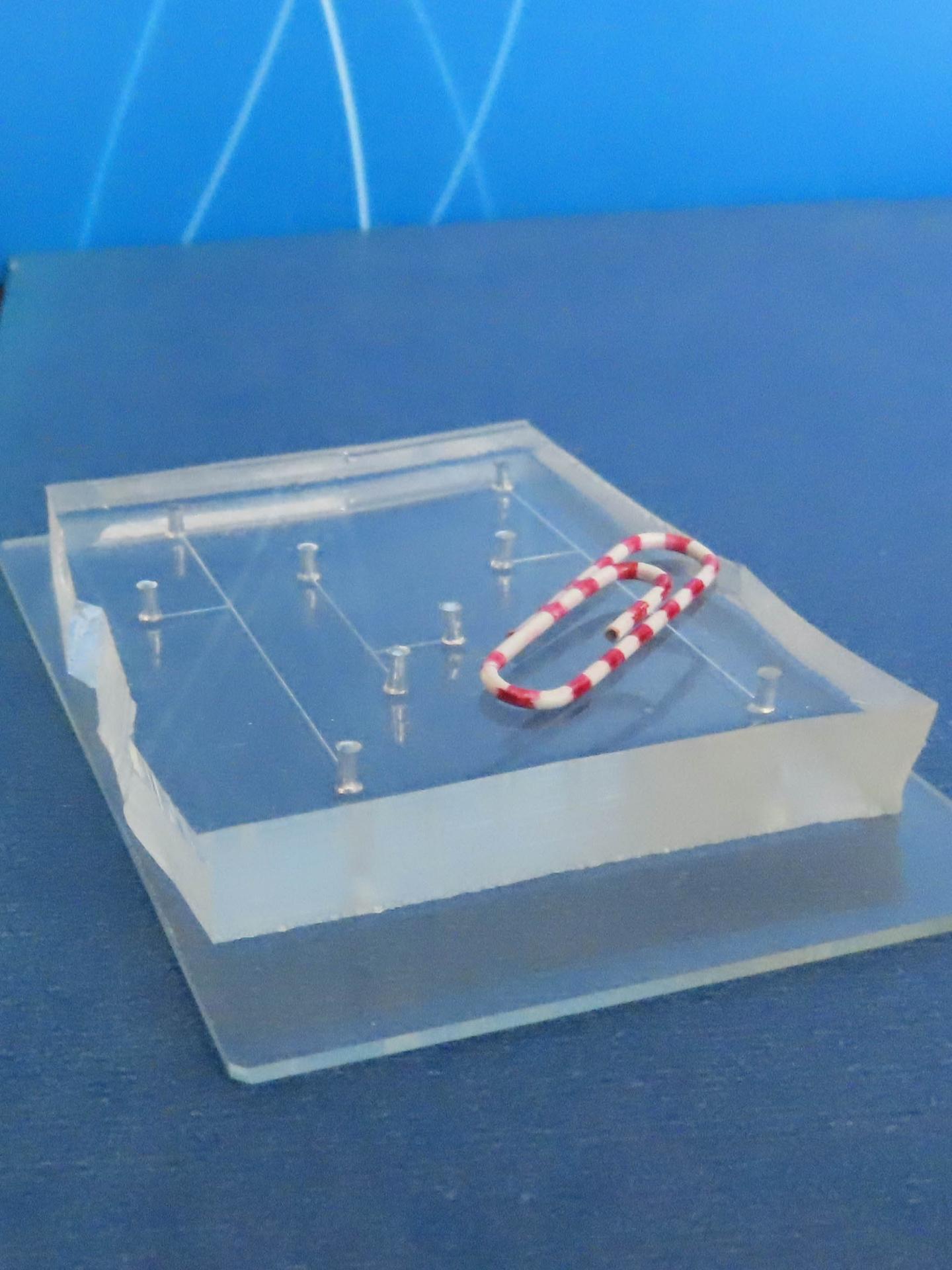 Microfluidic Chip [IMAGE] | EurekAlert! Science News Releases