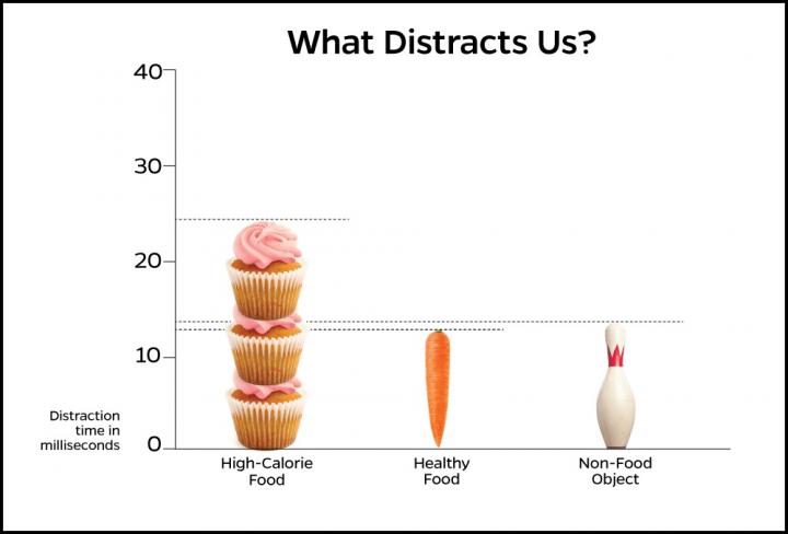 Study: Junk food almost twice as distracting | EurekAlert!