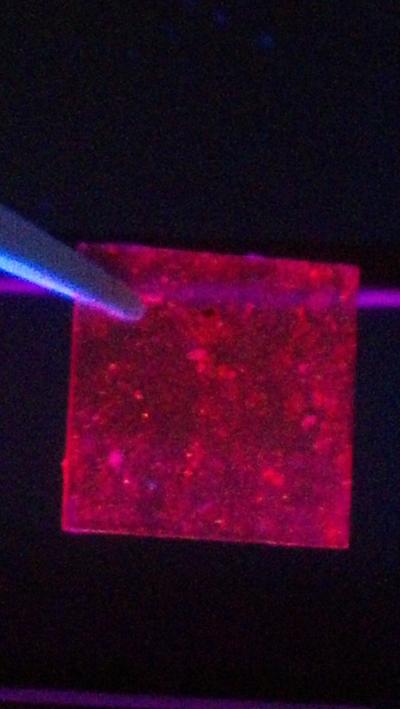 Quantum Dots with Conjugated P [IMAGE] | EurekAlert! Science News Releases