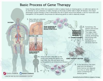 Gene Therapy Infographic [IMAGE] | EurekAlert! Science News Releases