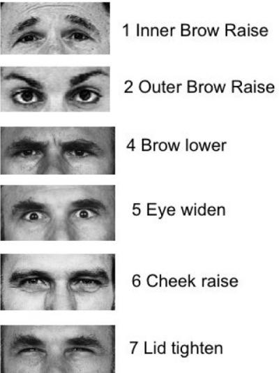 Robot learns to smile and frown | EurekAlert!