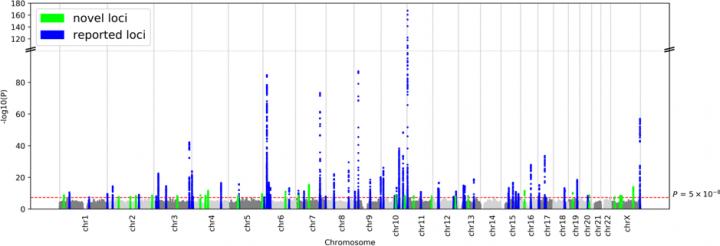 Figure 1: Manhattan Plot of th [IMAGE] | EurekAlert! Science News Releases