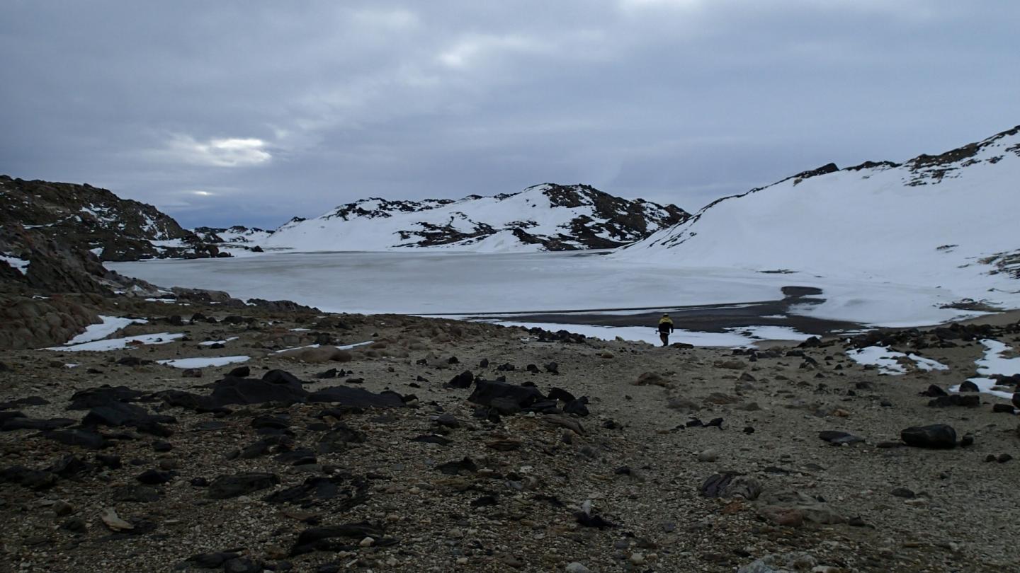Antarctic salt-loving microbes provide insigh | EurekAlert!