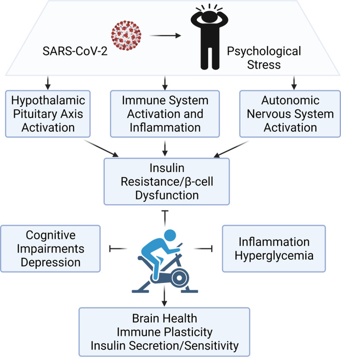 COVID-19 and dysregulation [IMAGE] | EurekAlert! Science News Releases