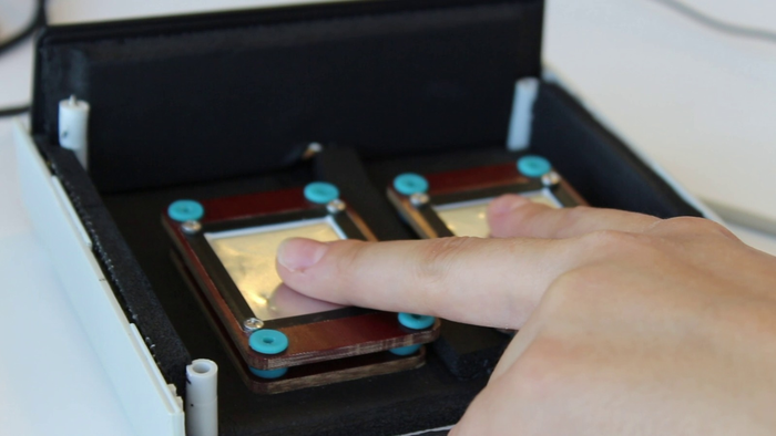 The tactile elements of the se [IMAGE] | EurekAlert! Science News Releases