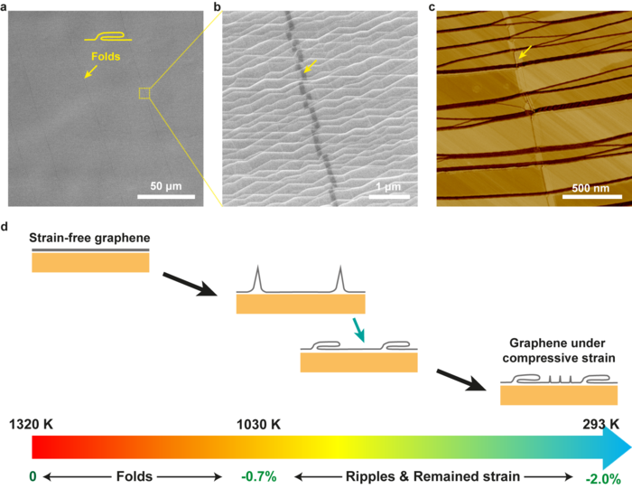 Figure 1 [IMAGE] | EurekAlert! Science News Releases