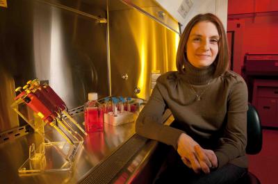 Dawn Jelley-Gibbs, Ph.D., Trud [IMAGE] | EurekAlert! Science News Releases
