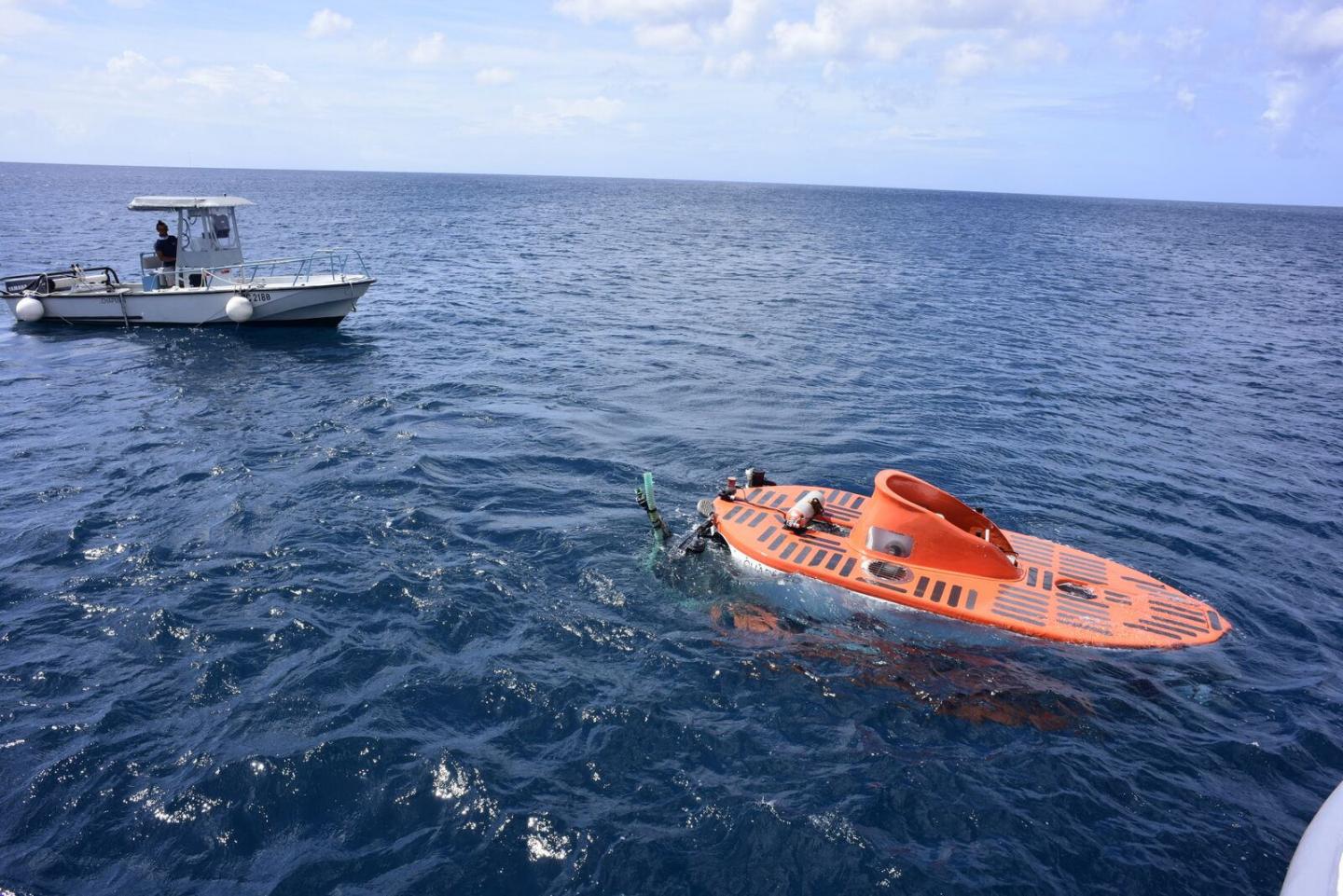 Submersible Dive [IMAGE] | EurekAlert! Science News Releases