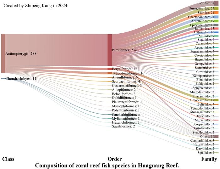 Composition of coral reef fish [IMAGE] | EurekAlert! Science News Releases