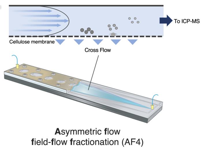 Principle of nanoparticle sepa [IMAGE] | EurekAlert! Science News Releases