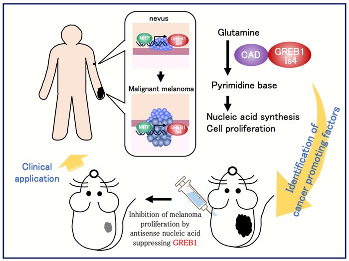 Figure [IMAGE] | EurekAlert! Science News Releases