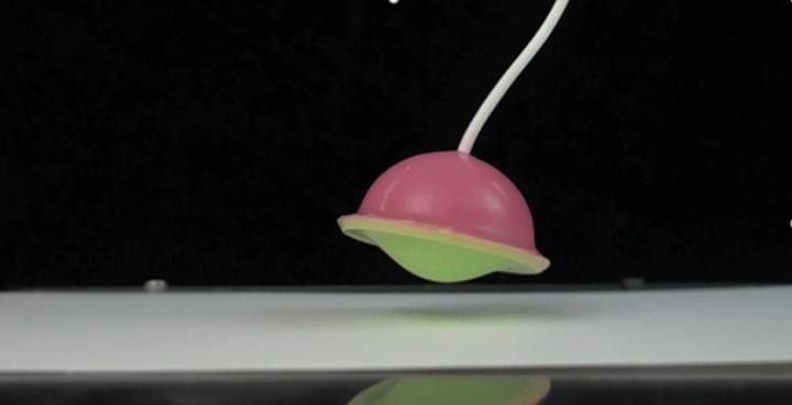 Hopping Robot [IMAGE] | EurekAlert! Science News Releases