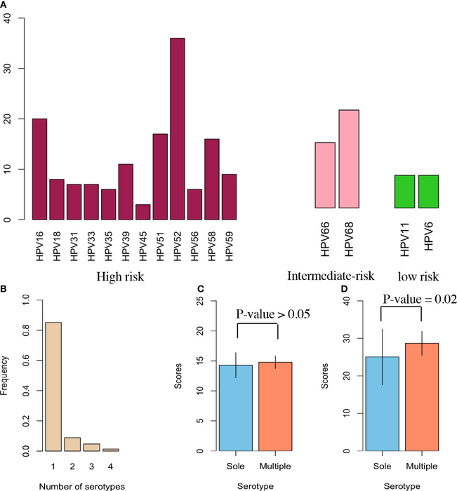 HPV serotype prevalence [IMAGE] | EurekAlert! Science News Releases