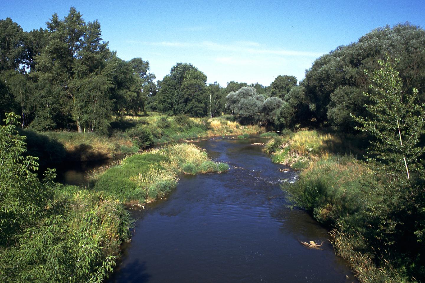 Natural River [IMAGE] | EurekAlert! Science News Releases