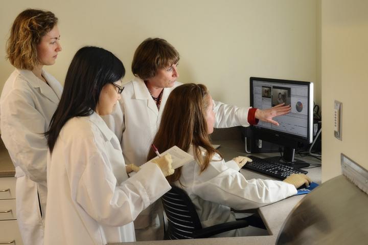 Food Sensory Lab [IMAGE] | EurekAlert! Science News Releases