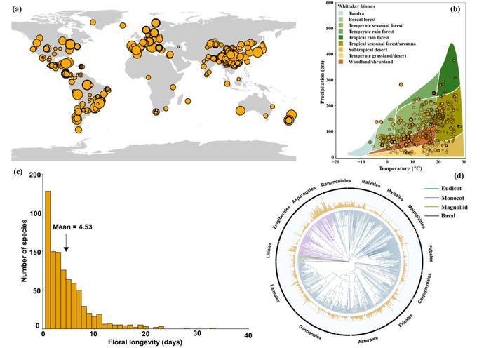 Global dataset of floral longe [IMAGE] | EurekAlert! Science News Releases