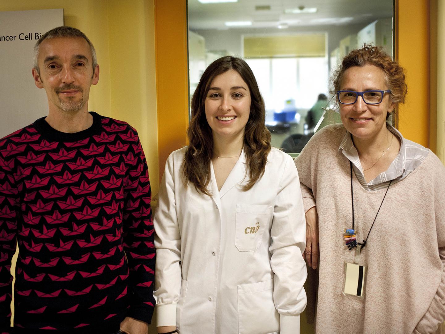 Alberto Cascon, Laura Remacha, [IMAGE] | EurekAlert! Science News Releases