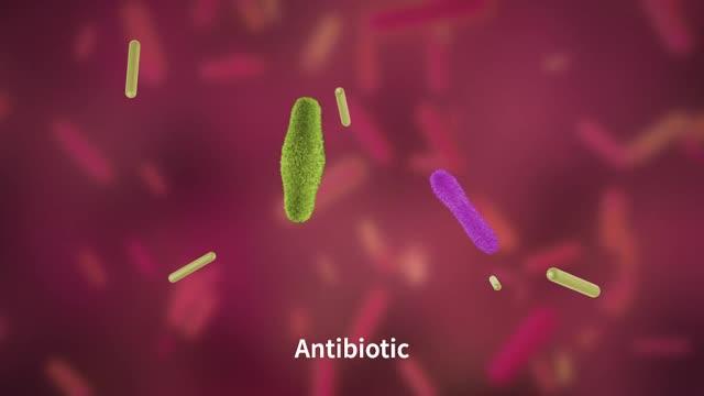 Probiotic bacteria evolve inside mice's GI tr | EurekAlert!