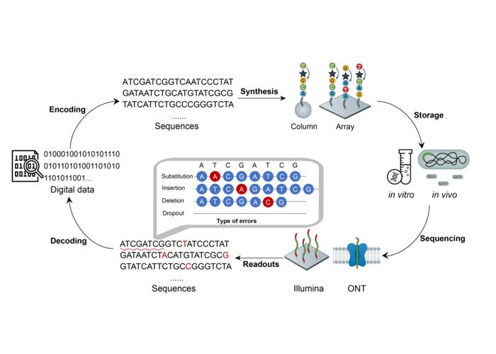 Overview of DNA digital storag [IMAGE] | EurekAlert! Science News Releases