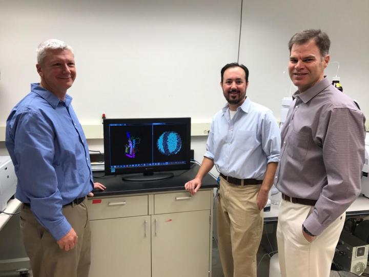 Tom Thompson, PhD, Ryan Walker [IMAGE] | EurekAlert! Science News Releases