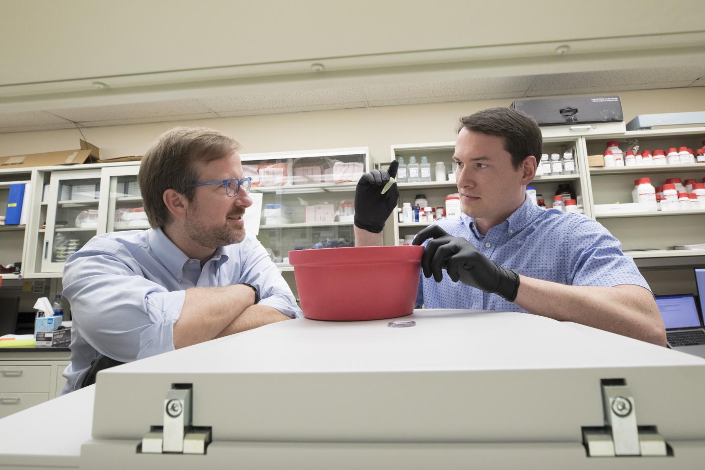 Researchers [IMAGE] | EurekAlert! Science News Releases