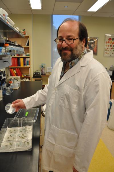 Howard Judelson, Universit [IMAGE] | EurekAlert! Science News Releases